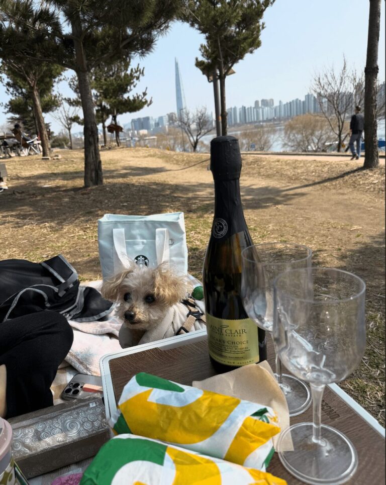Seongsu (성수) Seoul Guide: Trendy Cafes, Eats, Bars & Vibes